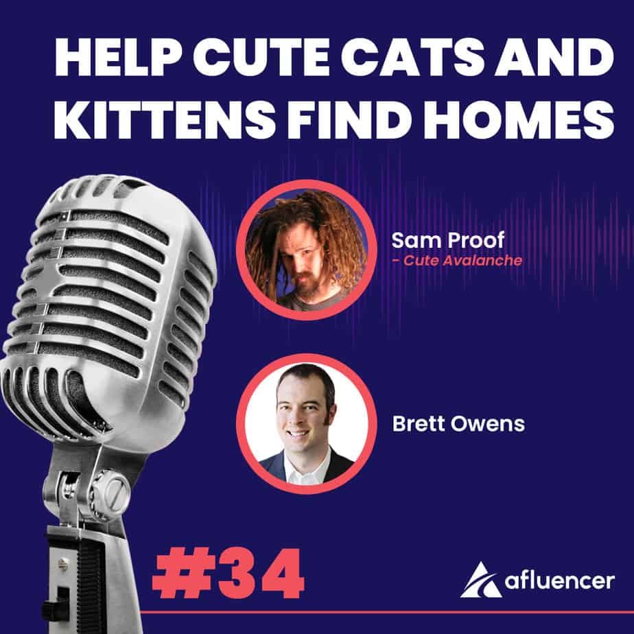 Podcast Episode #34 – Help Cute Cats and Kittens Find Homes | Sam Proof ...
