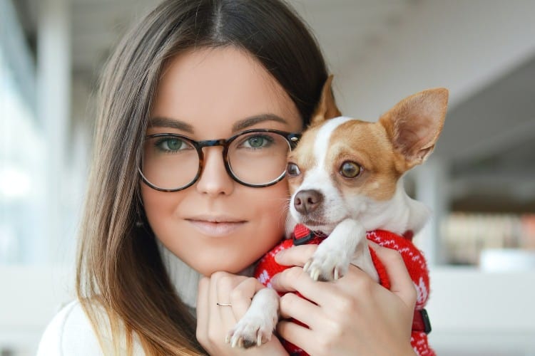 Pet Influencers & Their Adorable Companions! Collab Opps Within